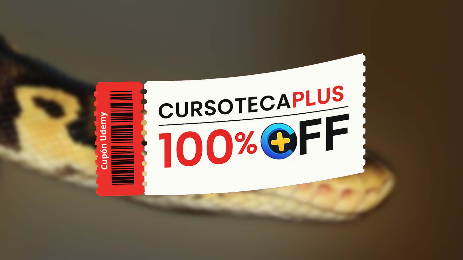 Cupón Udemy 2026 | Desarrollo de Python Primeros Pasos y Plataforma IDE de Desarrollo ...